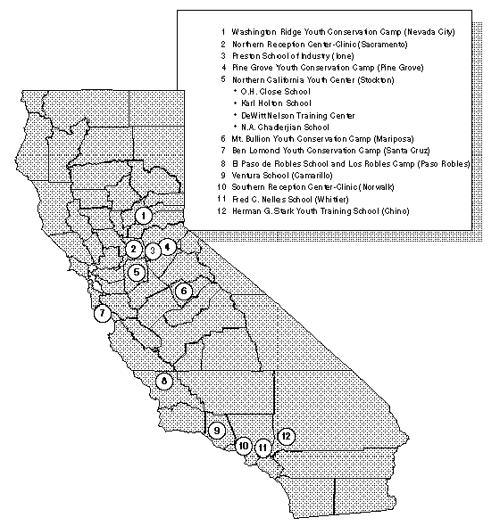 Juvenile Crime--How Does California's Juvenile Justice System Work?